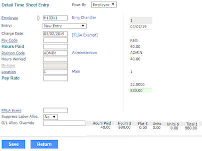 Making Detail Time Sheet Entries